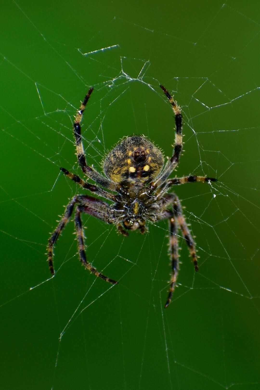 Photography - Chinmay Joshi