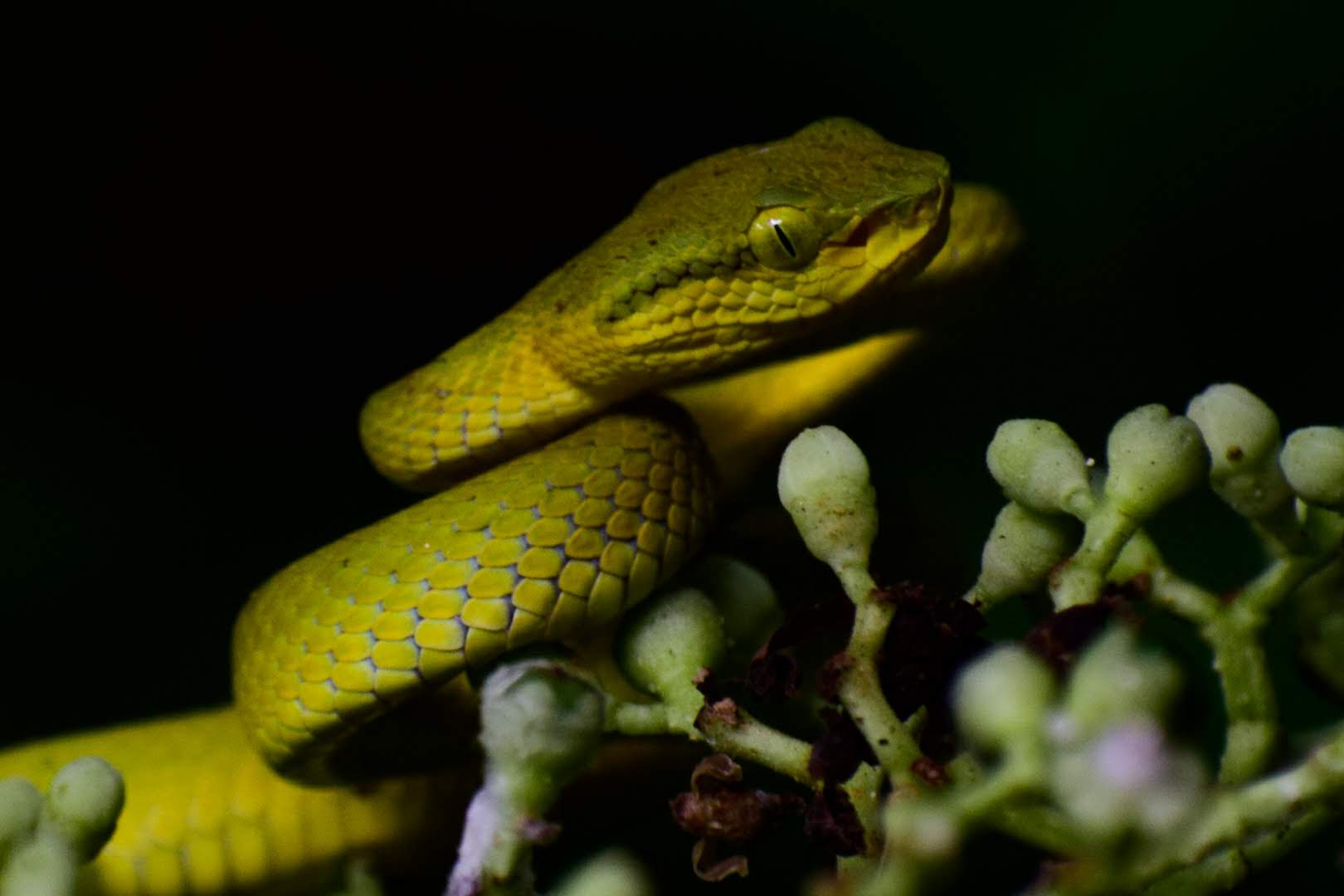 Photography - Chinmay Joshi