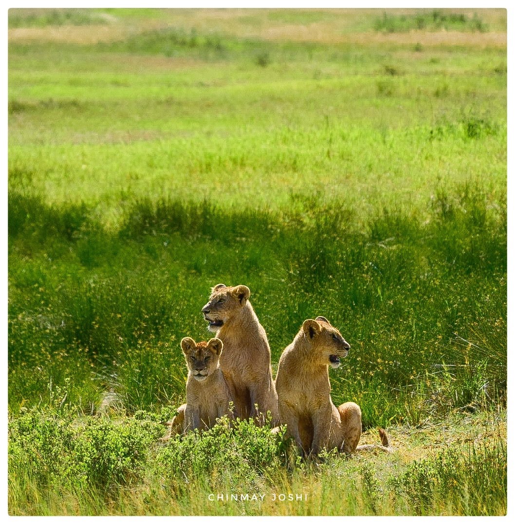 Photography - Chinmay Joshi