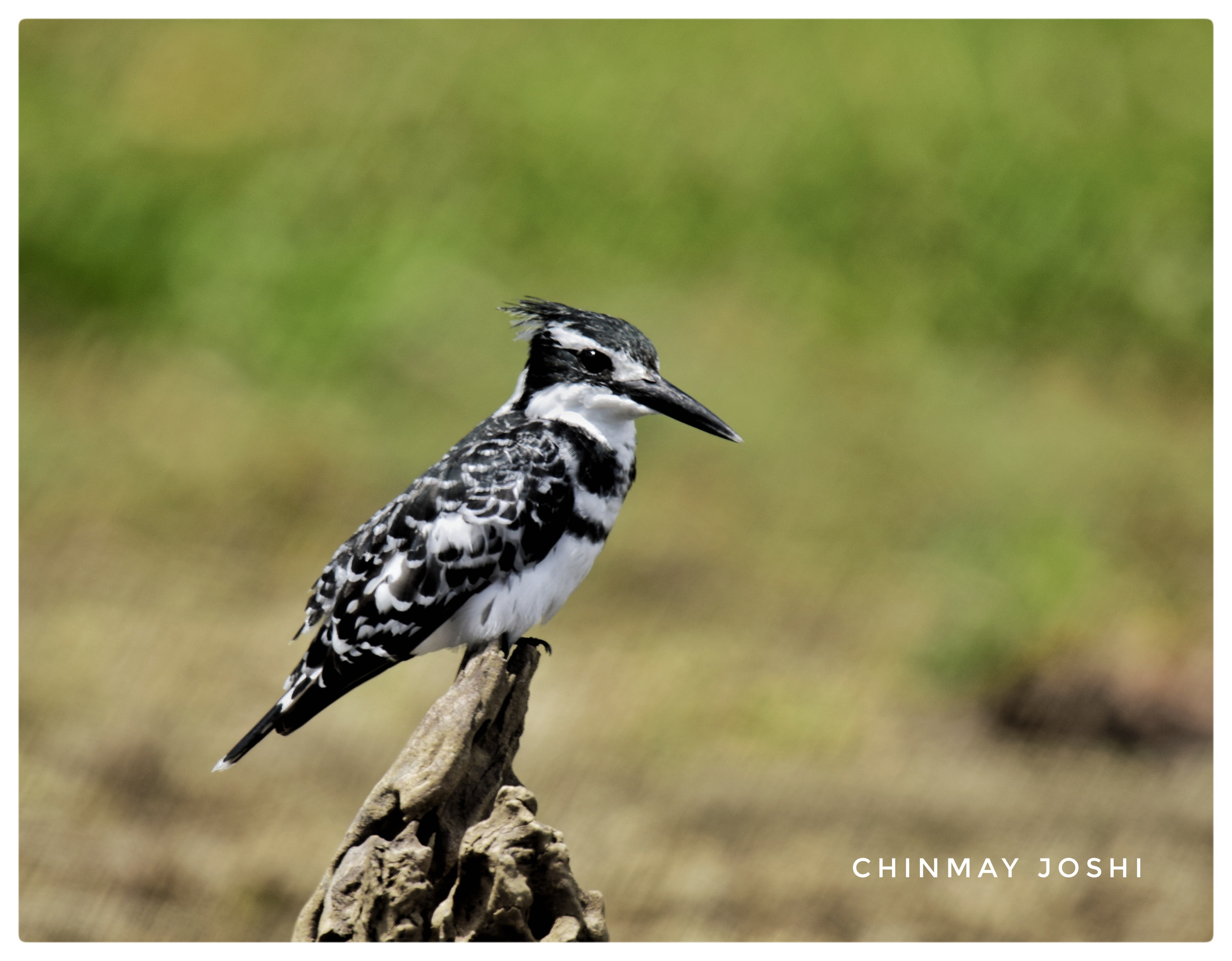 Photography - Chinmay Joshi