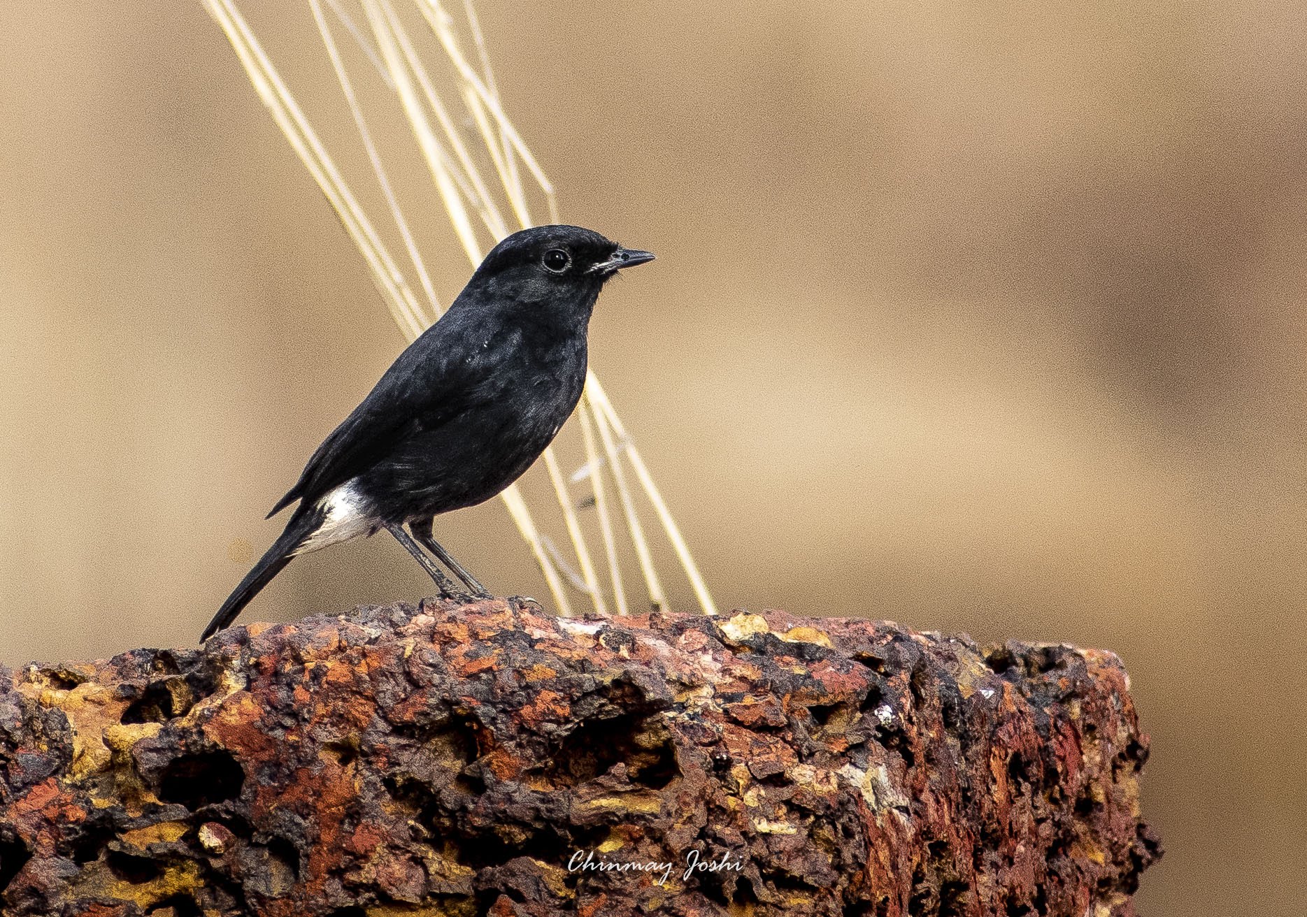 Photography - Chinmay Joshi
