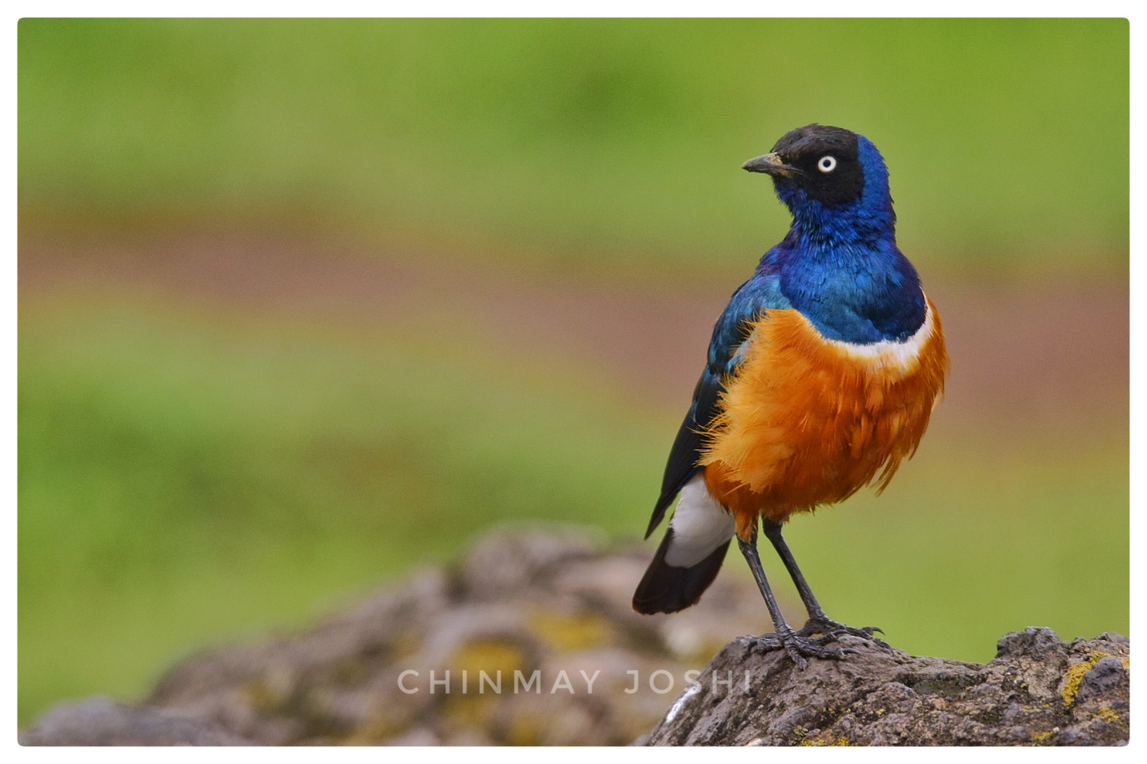 Photography - Chinmay Joshi