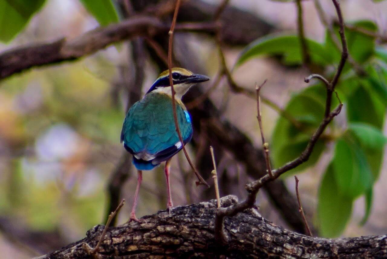 Photography - Chinmay Joshi